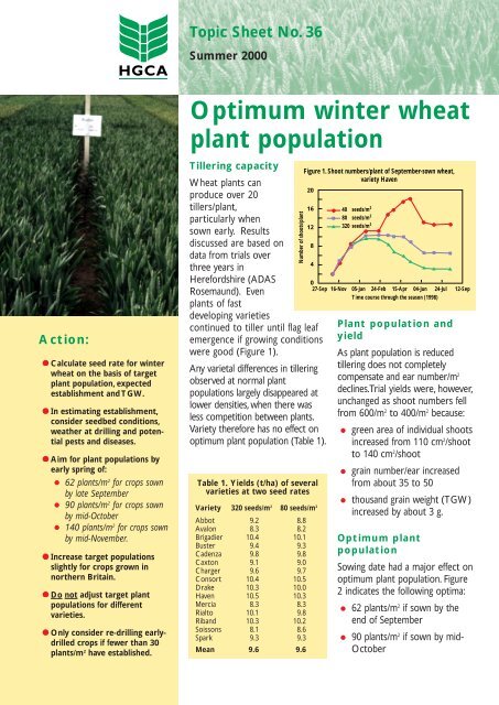 Optimum winter wheat plant population - Topic Sheet No. 36 ... - HGCA