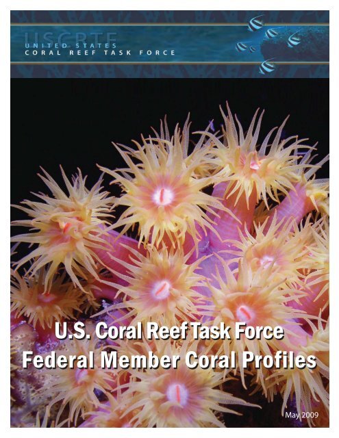 Organizational Structure - U.S. Coral Reef Task Force