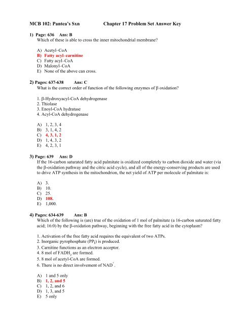 MCB 102: Pantea's Sxn