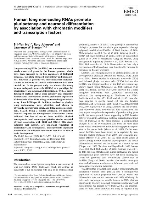 Human long non-coding RNAs promote pluripotency and neuronal ...