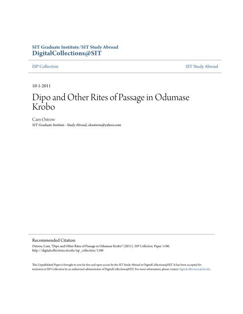 The Dipo-Rite And Other Rites - SteffenBieser.com