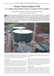 Castor Bay to Dungannon Strategic Trunk Mains - Water Projects ...