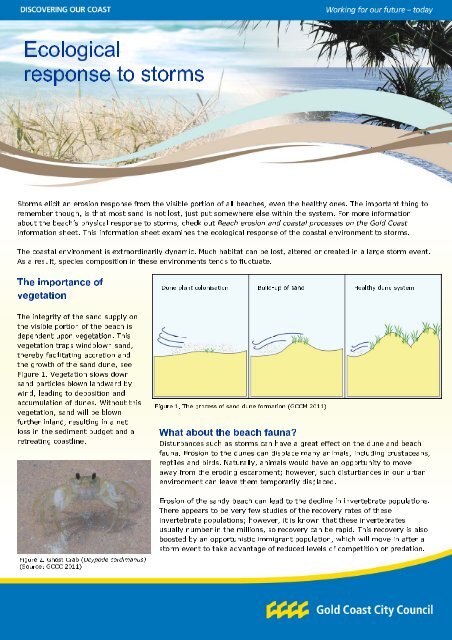 Ecological Response to Storms - Gold Coast City Council