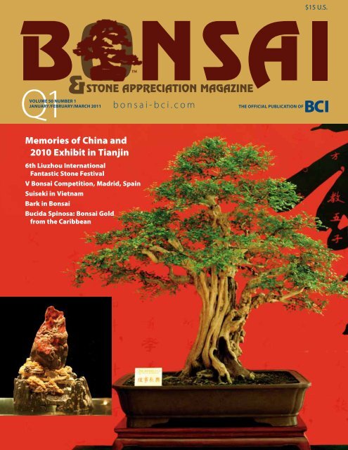 Bonsai & Stone Appreciation Magazine - Bonsai Clubs International