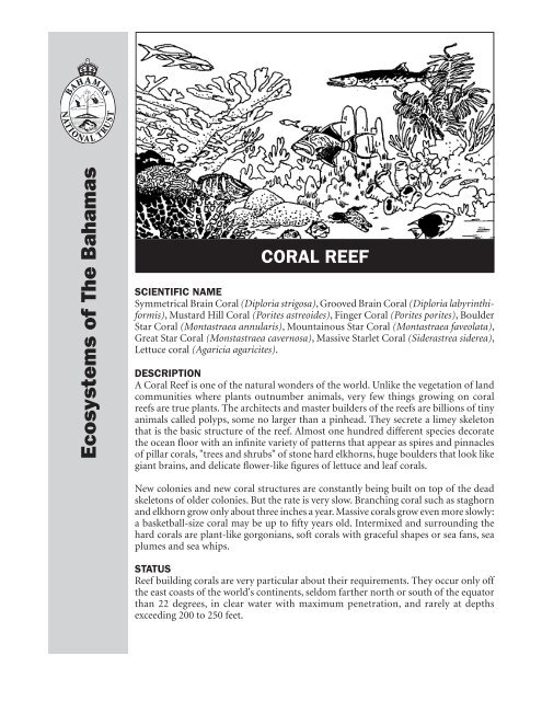 Coral Reef Fact Sheet - The Bahamas National Trust