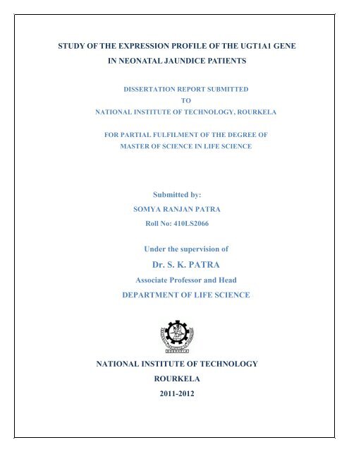 Dr. S. K. PATRA - ethesis - National Institute of Technology Rourkela