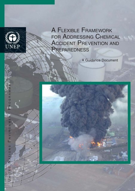 Flexible Framework Brochure - UNEP