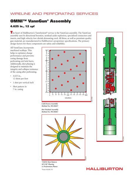 Perforating-4.625 in, 12 spf, OMNI VannGun Assembly - Halliburton