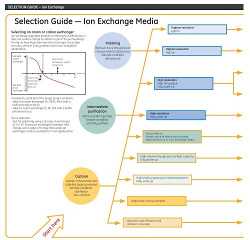Ion Exchange Selection Guide