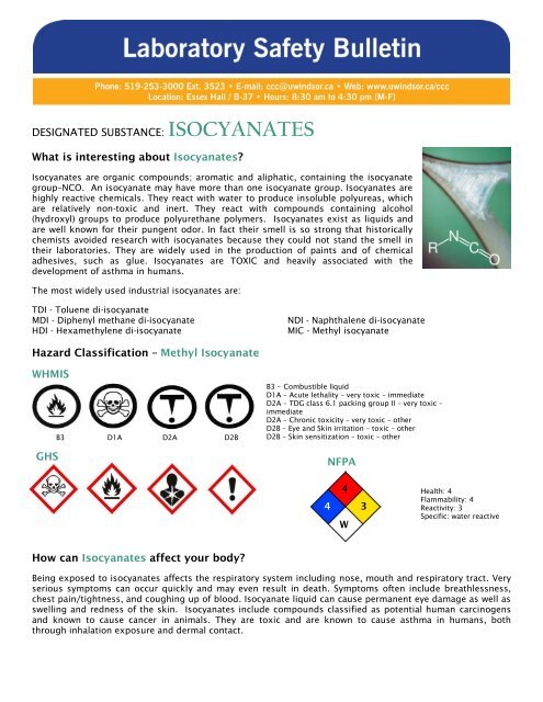 ISOCYANATES What is interesting about Isocyanates?