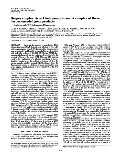 Herpes simplex virus 1 helicase-primase: A complex of three herpes ...