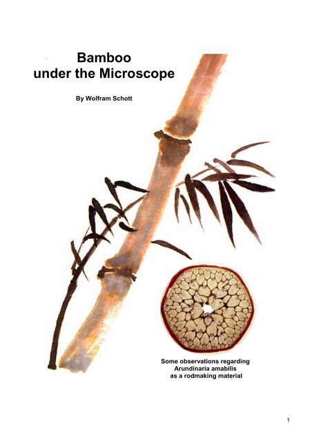 Bamboo Fiber Microscope