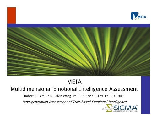 Multidimensional Emotional Intelligence Assessment (MEIA) - Sigma ...