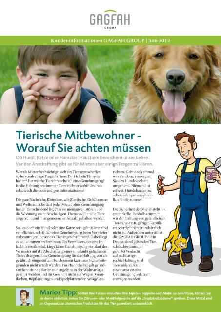 Worauf Mussen Sie Achten