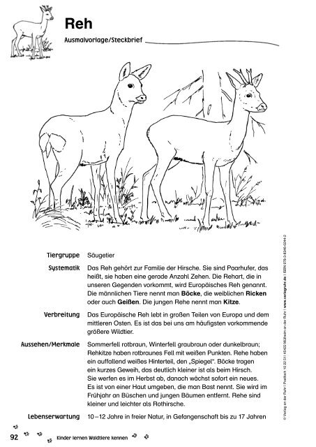 Ausmalvorlage/Steckbrief Systematik Das Reh gehört zur ... - Veritas