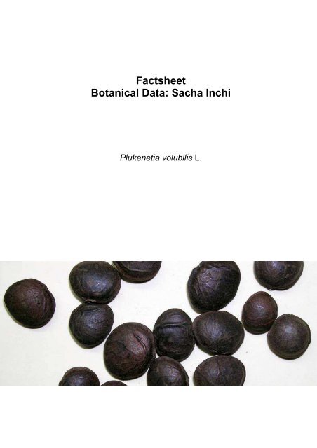 Factsheet Botanical Data: Sacha Inchi