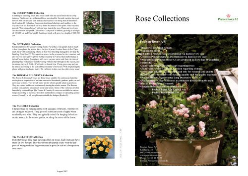 The COURTYARD® Collection Rose Collections