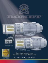 Romet Rotary Gas Meter Catalogue PDF - IMAC Systems, Inc.