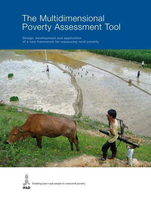 The Multidimensional Poverty Assessment Tool - International Fund ...