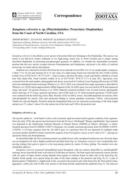 zootaxa - Magnolia Press