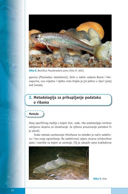Alohtone vrste slatkovodn
