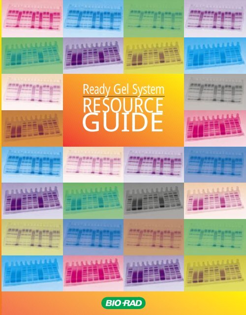 Bio Rad 10x Tbs Recipe | Bryont Blog