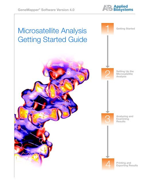 GeneMapper® Software Version 4.0 Microsatellite Analysis Getting ...