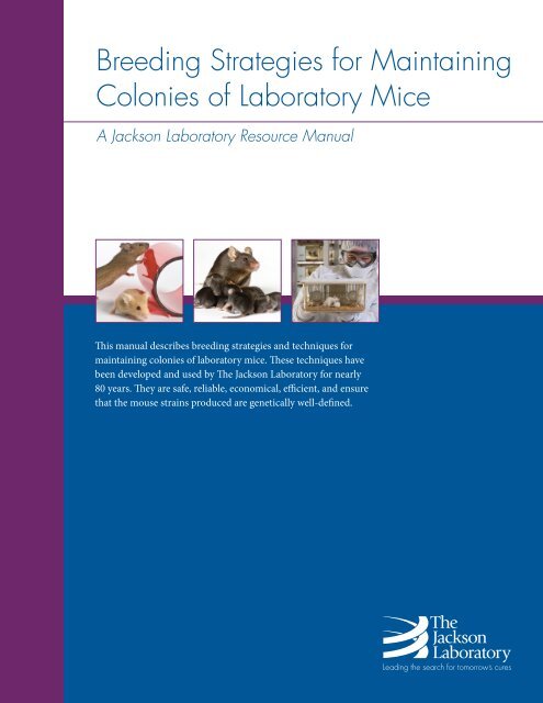 Breeding Strategies for Maintaining Colonies of Laboratory Mice