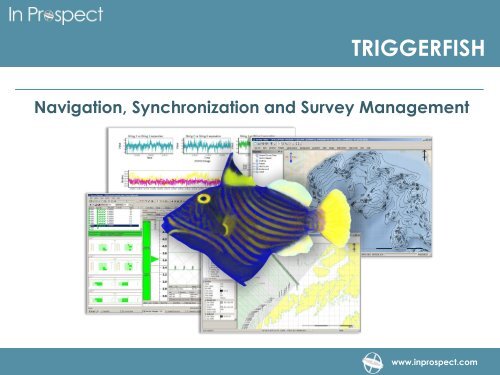 TRIGGERFISH