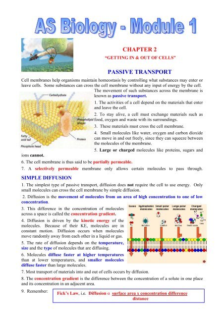 CHAPTER 2 PASSIVE TRANSPORT - BiologyMad A-Level Biology