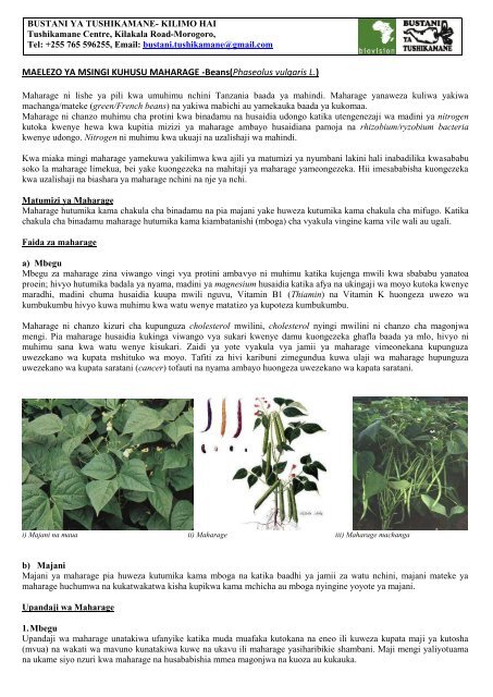 MAELEZO YA MSINGI KUHUSU MAHARAGE -Beans(Phaseolus ...