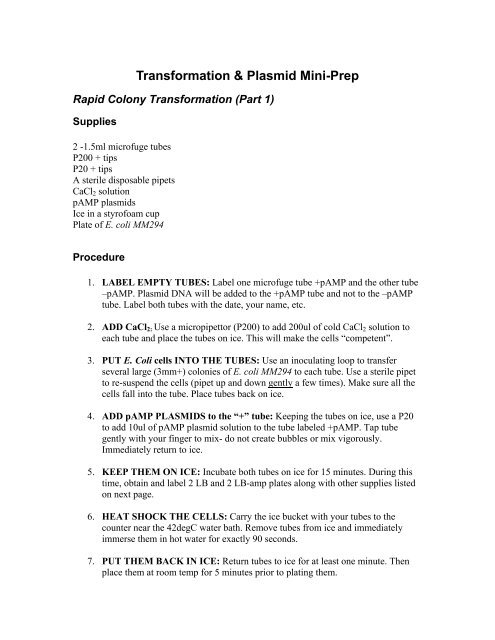 Transformation Lab Protocol - Schooner Chantal