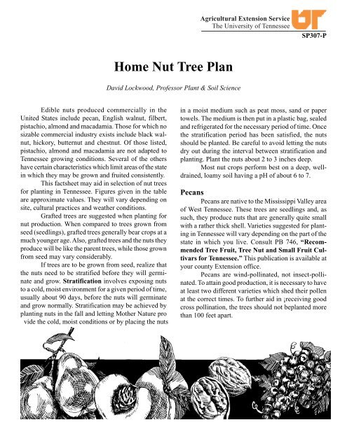 Fruits and Nuts - Home Nut Tree Plan - Shelby County, Tennessee