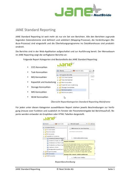 JANE Standard Reporting PDF download - Next Stride AG