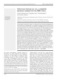 Arthrobacter flavus sp. nov., a psychrophilic bacterium isolated from ...