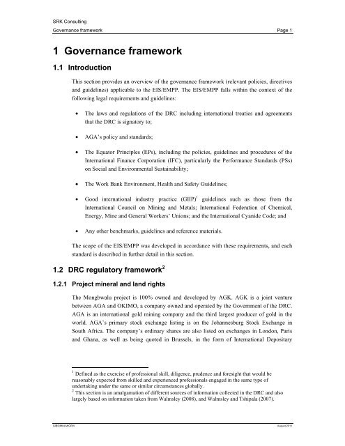 1 Governance Framework - SRK Consulting