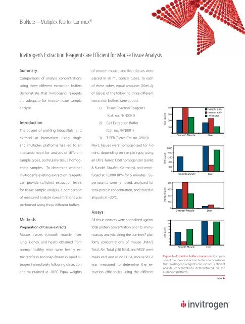 Invitrogen's Extraction Reagents are Efficient for Mouse Tissue ...