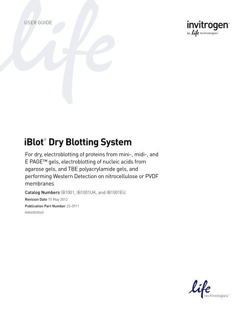 iBlot® Dry Blotting System - Invitrogen