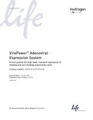 Pichia Expression Kit - Invitrogen
