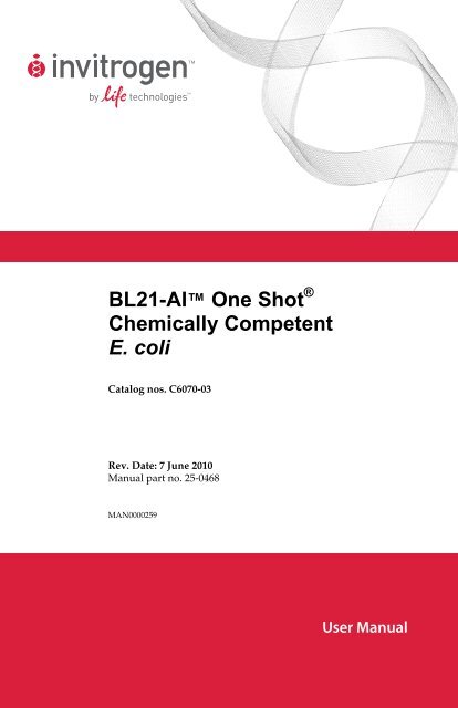 BL21-AI One Shot Chemically Competent E. coli - Invitrogen