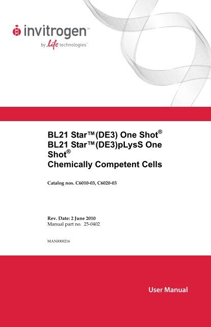 One Shot BL21 Star - Invitrogen