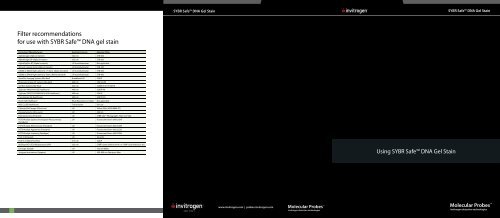Using SYBR Safe™ DNA Gel Stain - Invitrogen