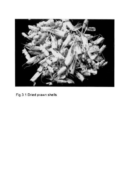 Fig.3.1 Dried prawn shell