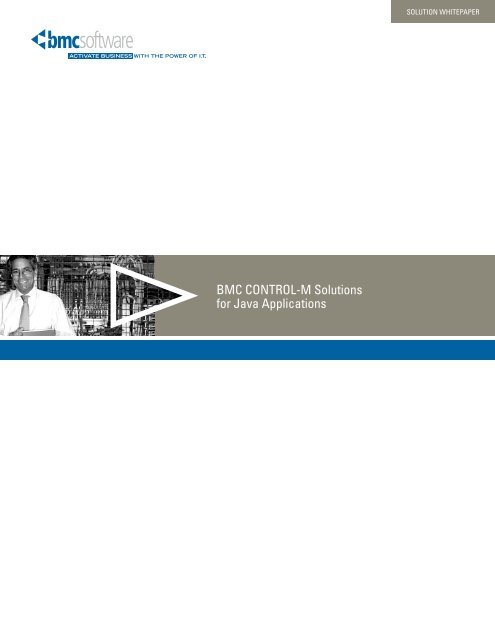 Bmc Software Control M