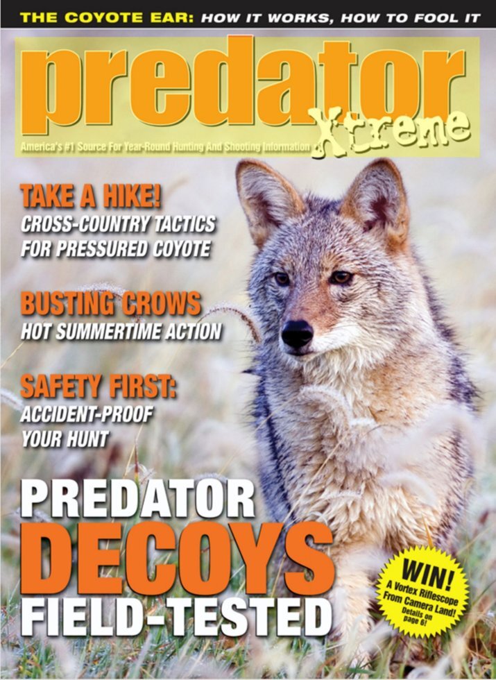 Predator Magazines