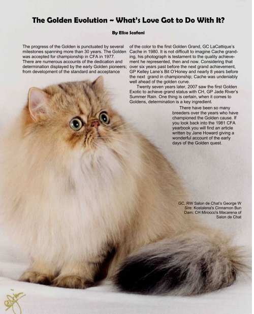 The Golden Evolution ~ What's Love Got to Do With It? - Wyndcreste ...