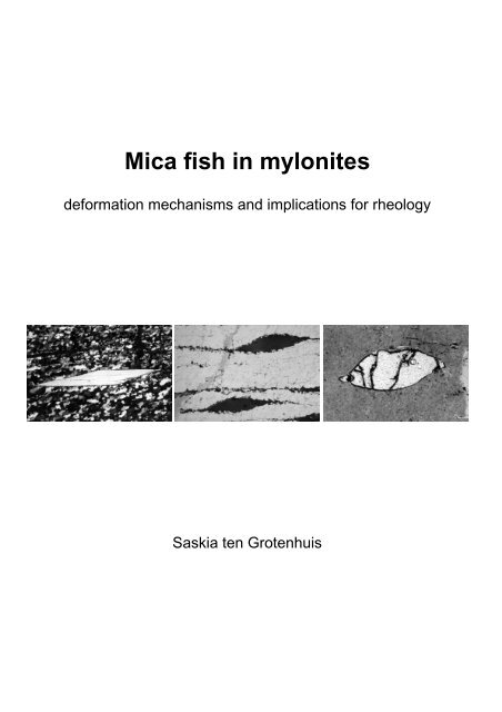 Mica fish in mylonites - ArchiMeD