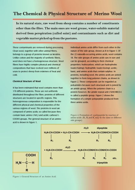 B-The Chemical & Physical Structure of Merino Wool.cdr - csiro