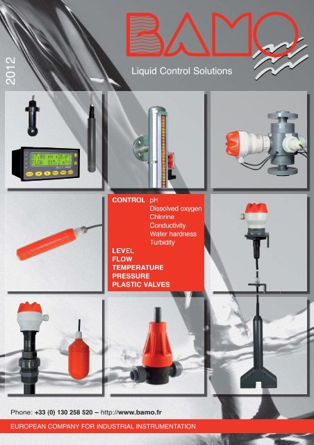 Bamo Product Overview - IPP