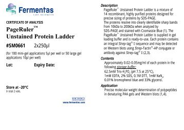 PageRuler™ Broad Range Unstained Protein Ladder - Pierce